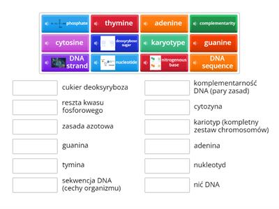 Dna - Materiały dydaktyczne