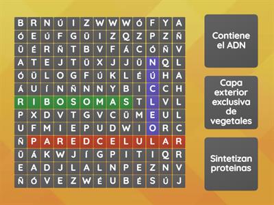 Célula eucariota - Recursos didácticos