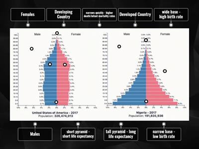 Population pyramids - Teaching resources