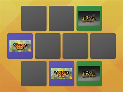 Juegos de insectos - Recursos didácticos