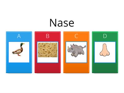 N deklination - Unterrichtsmaterialien