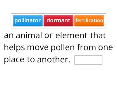 Pollination - Teaching resources