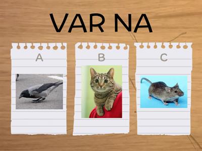 Priebalsiai ir balsiai - Mokymo ištekliai