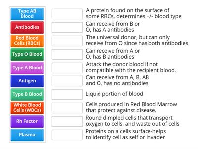 Blood vessels - Teaching resources