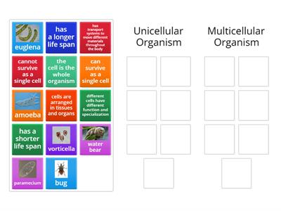 Unicellular and multicellular organisms - Teaching resources