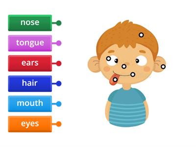 Parts of the face memory game - Teaching resources