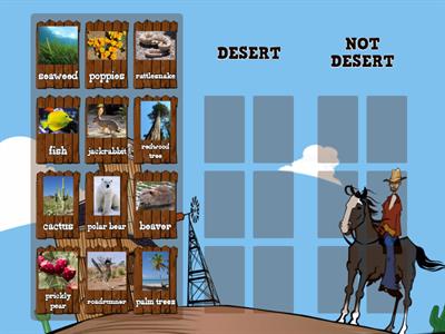 Desert - Teaching resources