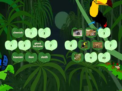 Beehive - Recursos didácticos