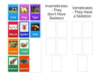 Vertebrates - Teaching resources