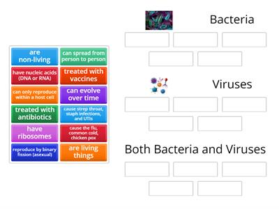 Bacteria - Teaching resources