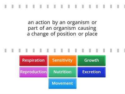 Mrs gren - Teaching resources