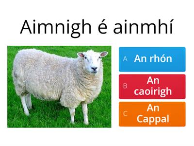 Irish - Teaching resources