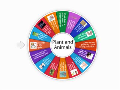 Animals Plants and - Teaching resources