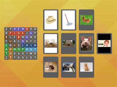 Summer cvc word search - Teaching resources