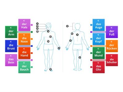 Körperteile - Teaching resources