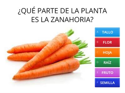 Parte que comemos de las plantas - Recursos didácticos