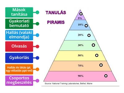 Táplálék piramis - Tananyagok