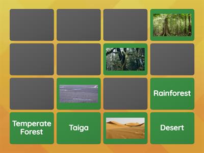 Biomes - Teaching resources