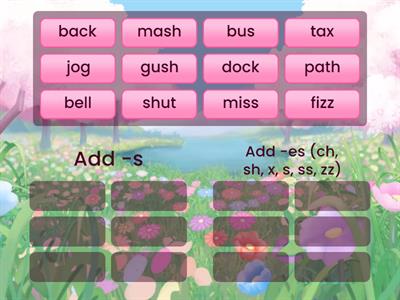 Plural s es ies - Teaching resources