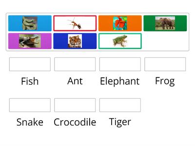 Jungle animals sentences - Recursos didácticos