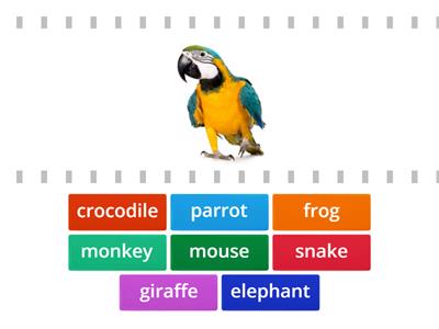 Animals Tiger 1 unit 5 wild - Materiały dydaktyczne