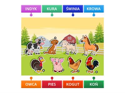 Zaqczarowana zagroda - Materiały dydaktyczne