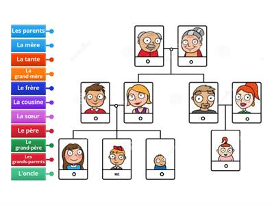 La famille en français - Ressources pédagogiques
