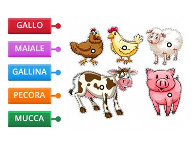 Animali Fattoria - Risorse didattiche