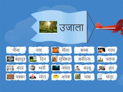 Vilom shabd - Teaching resources