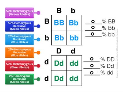 Punnett squares practice - Teaching resources