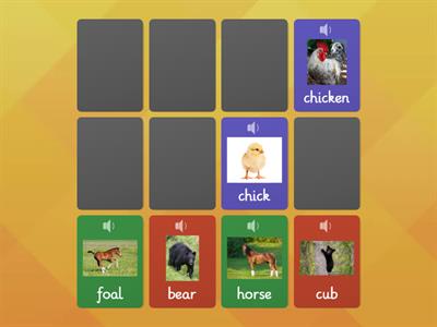 Offspring parent - Teaching resources