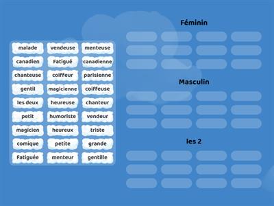 Adjectifs féminin - Ressources pédagogiques