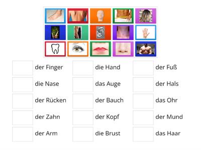 Körperteile - Teaching resources