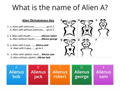 Dichotomous keys - Teaching resources