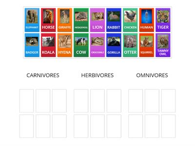 Herbivores carnivores omnivore - Teaching resources