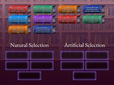 Natural vs artificial selection - Teaching resources