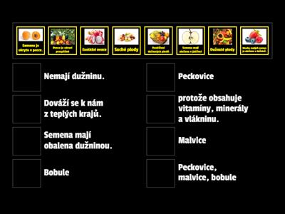 Ovoce malvice peckovice bobule - Výukové zdroje