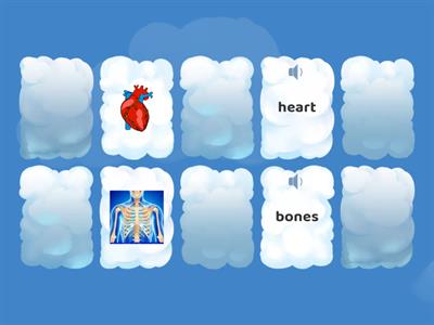 Organs - Teaching resources