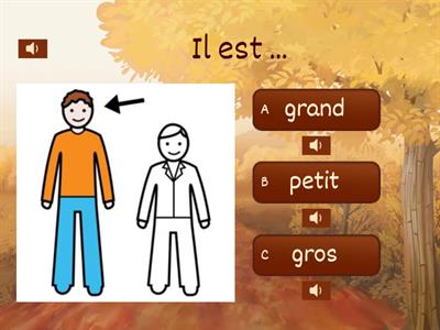La description physique adjectifs - Teaching resources