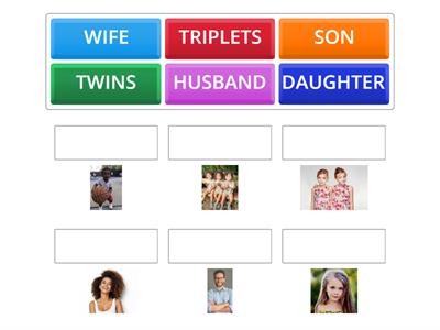 Vocabulary Family - Recursos didácticos