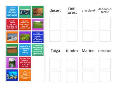 Biomes - Teaching resources