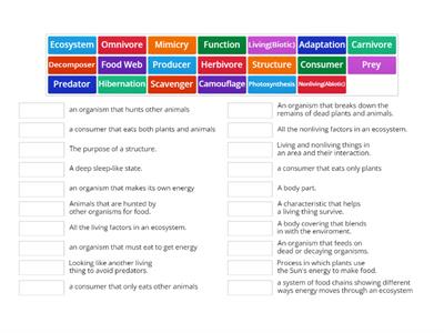 Roles in food webs - Teaching resources