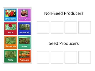 Seed - Teaching resources