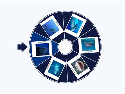 Shark - Teaching resources