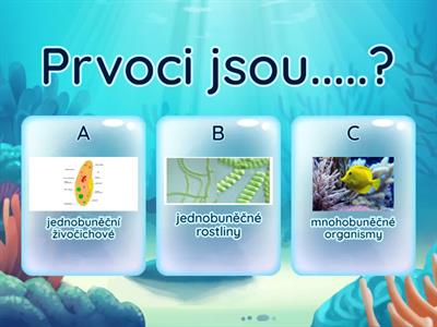 Prvoci - Výukové zdroje