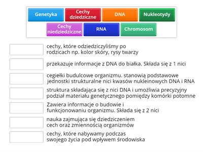 Dna - Materiały dydaktyczne