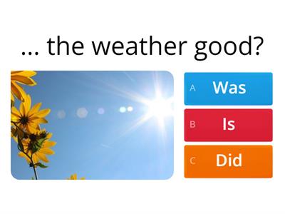 Past simple questions wheel esol - Teaching resources