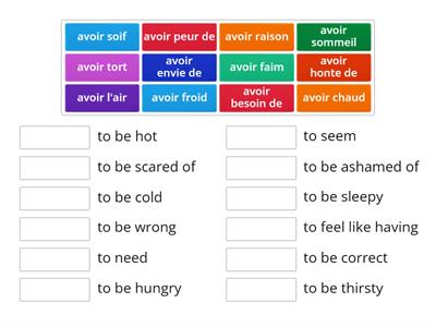 Avoir expressions - Teaching resources