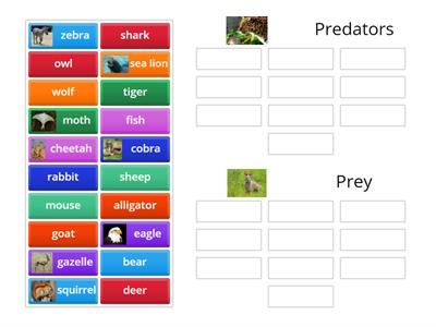 Predator prey - Teaching resources