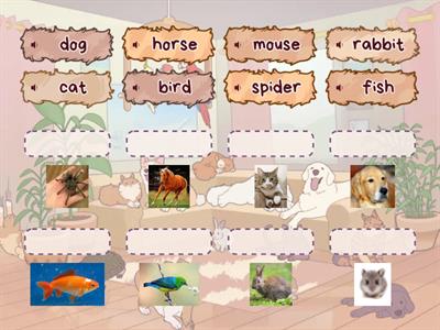 Pets - Teaching resources